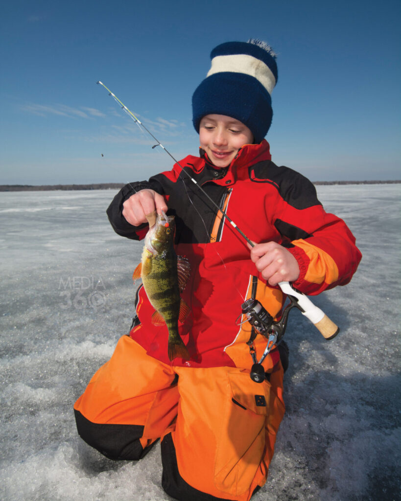 Strategies for Moody Perch | Ice Fishing Magazine