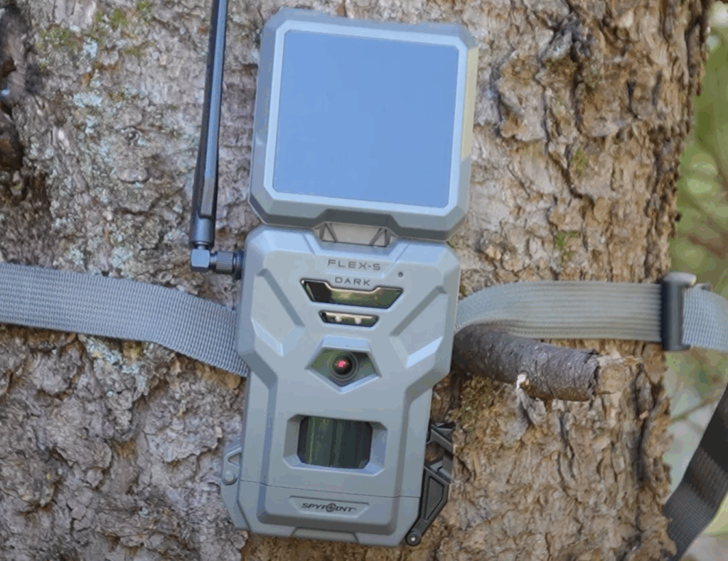 SpyPoint FORCE-24 vs. FLEX-S-DARK Trail Cameras