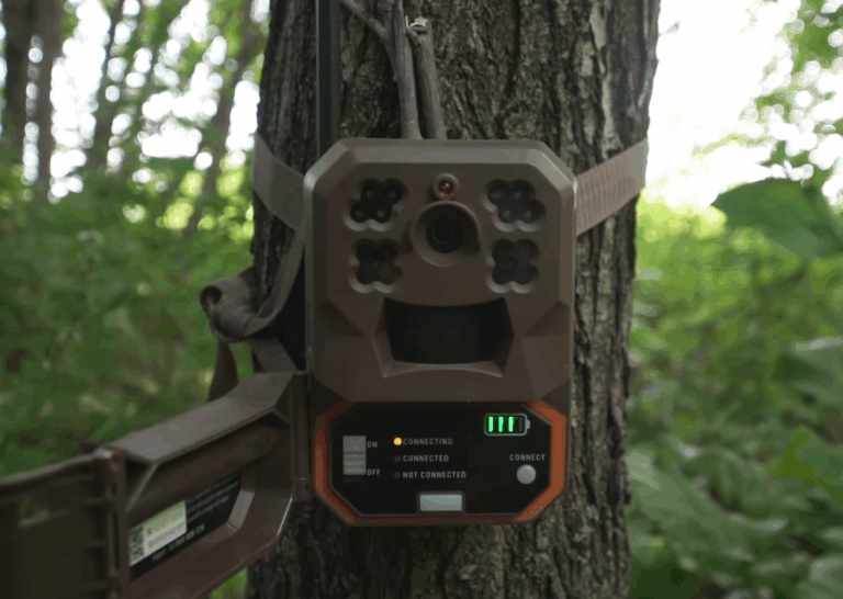 How to Extend the Battery Life on Your Cellular Trail Camera
