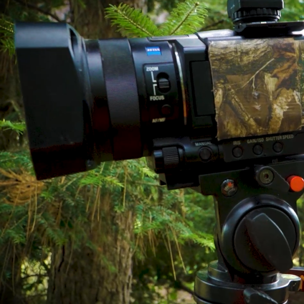 How to Self-Film Your Hunts | Deer & Deer Hunting