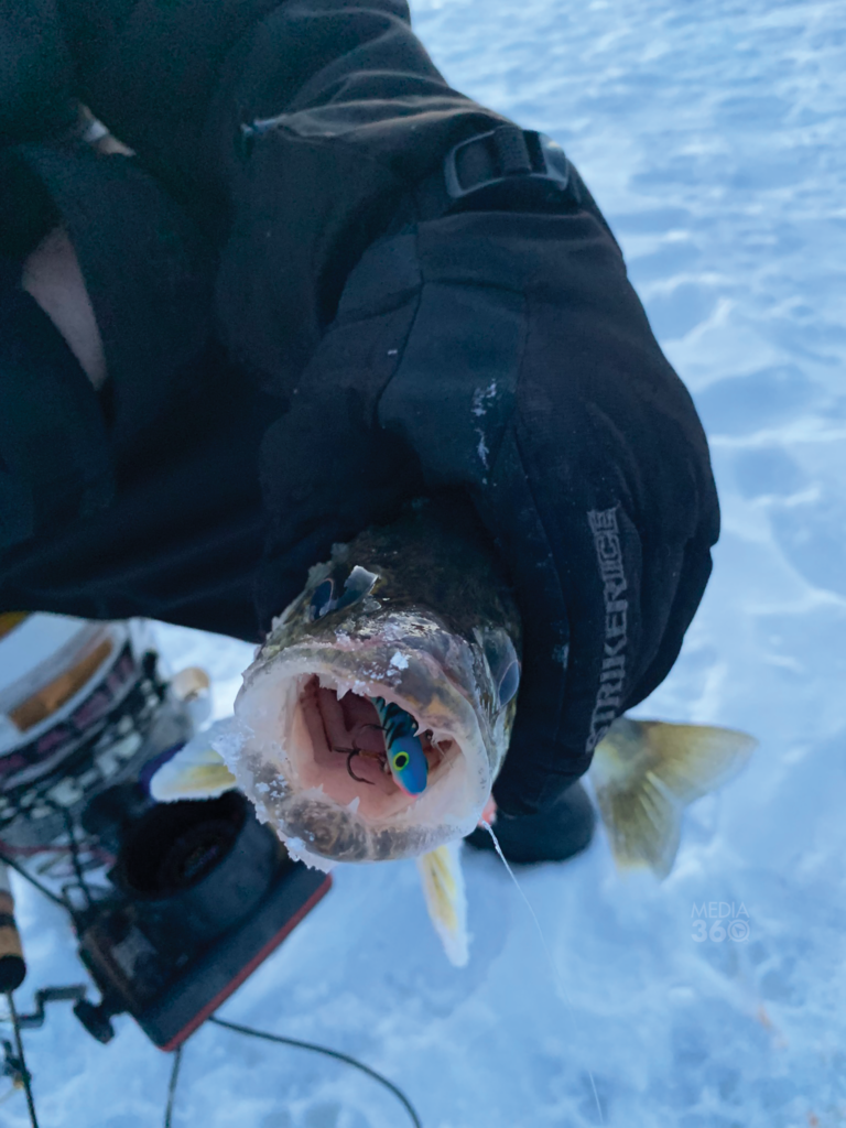 Catch More Late-Ice Walleyes | Deer & Deer Hunting