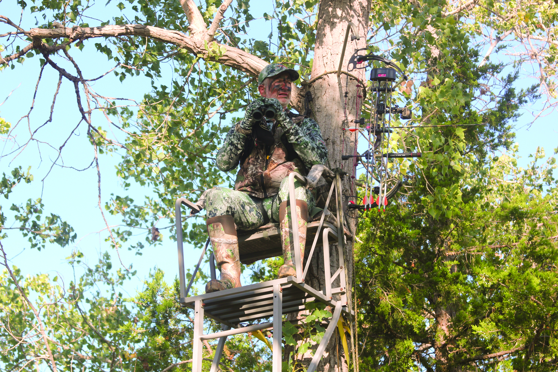 Manage Small Hunting Properties With Big Results | Deer & Deer Hunting