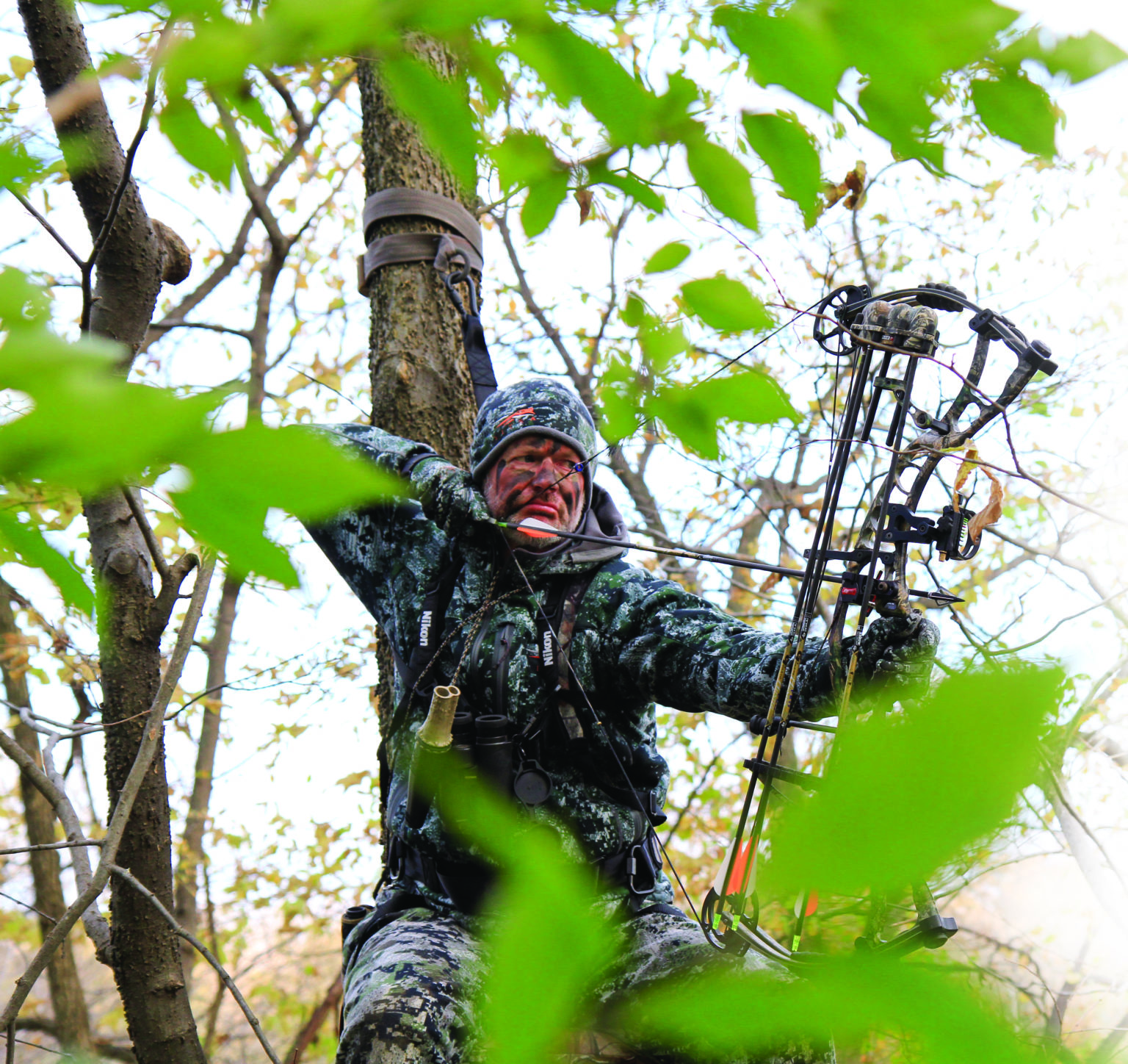 Manage Small Hunting Properties With Big Results | Deer & Deer Hunting