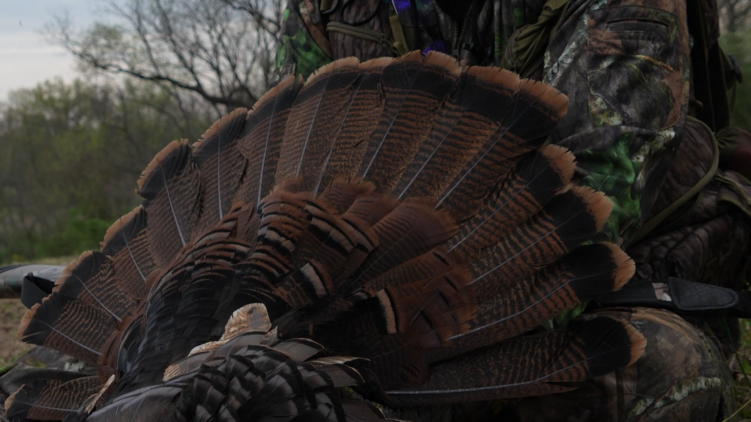 DDH Properties Archives | Deer & Deer Hunting