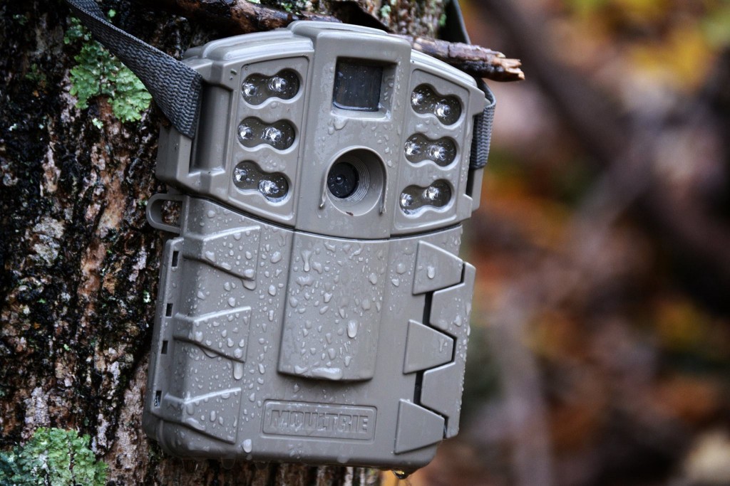 Three Ways to Maximize Your Deer Hunting Trail Cameras