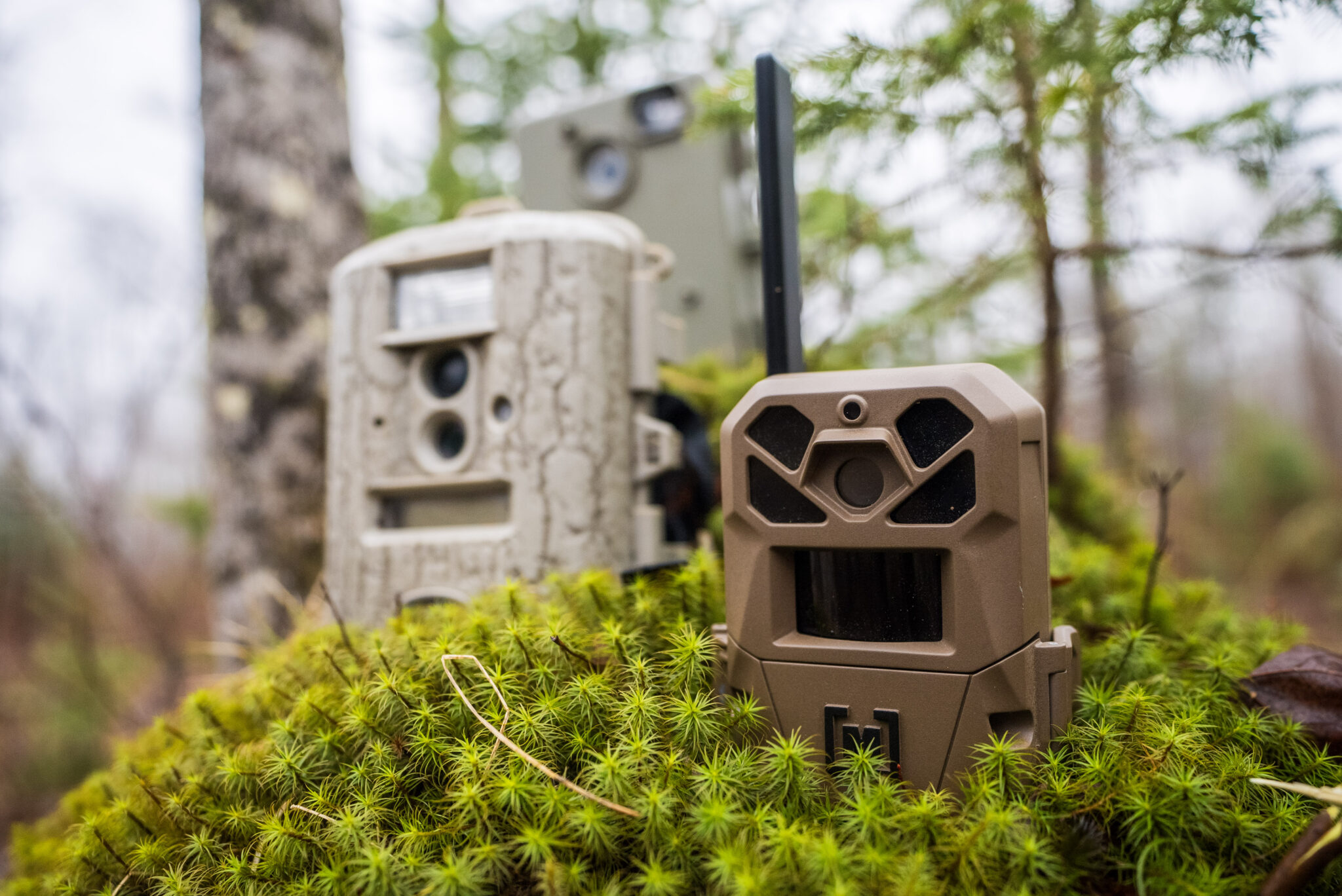 Moultrie Unveils New Edge 3 Camera | Deer & Deer Hunting