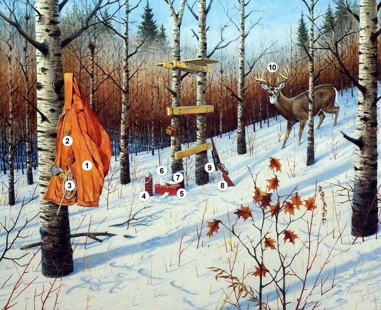 Deer & Deer Hunting | Deer & Deer Hunting