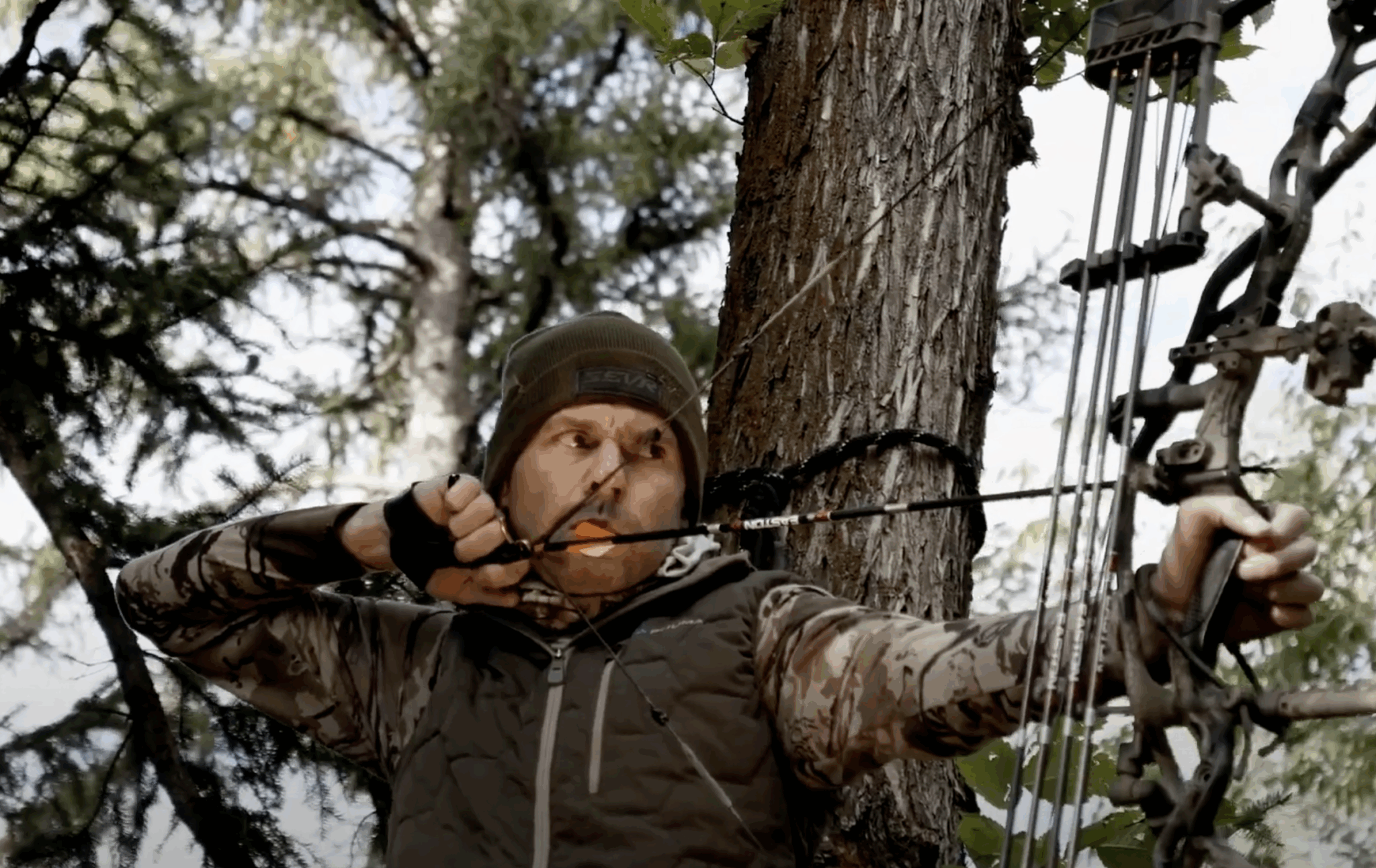 Bowhunting Public Land During the Early Season | Deer & Deer Hunting