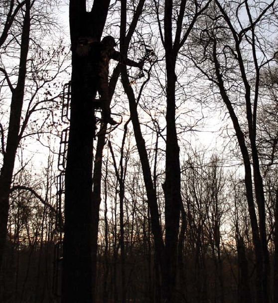How to prevent tree stand falls