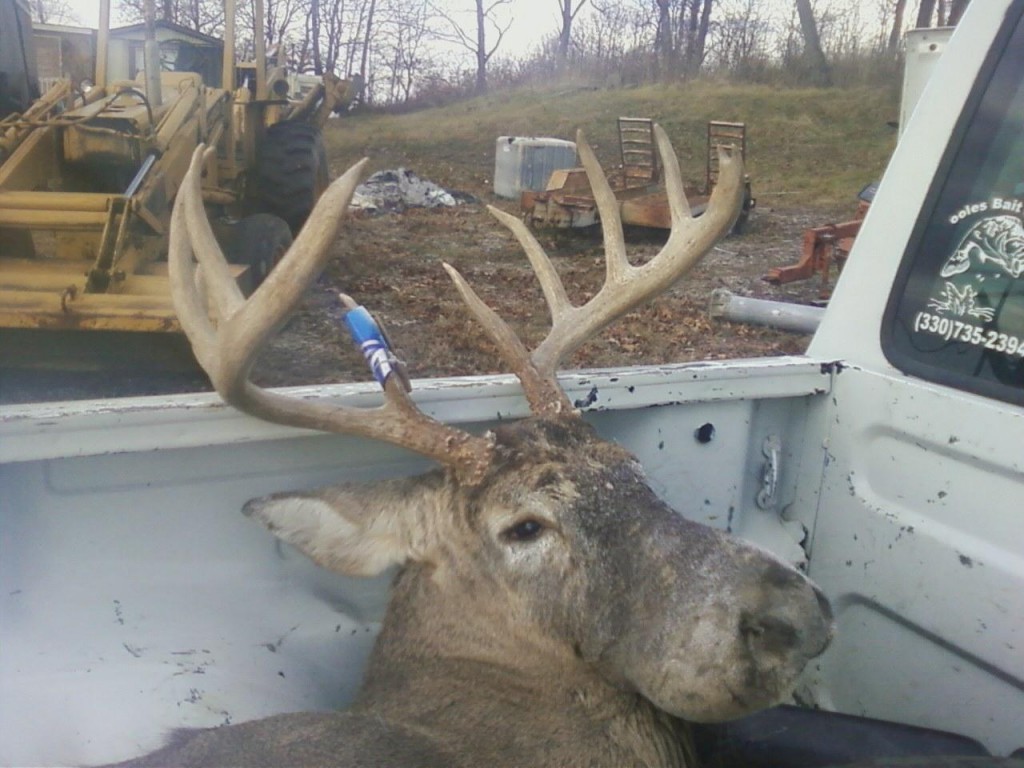 Hunter contracts rabies from a deer